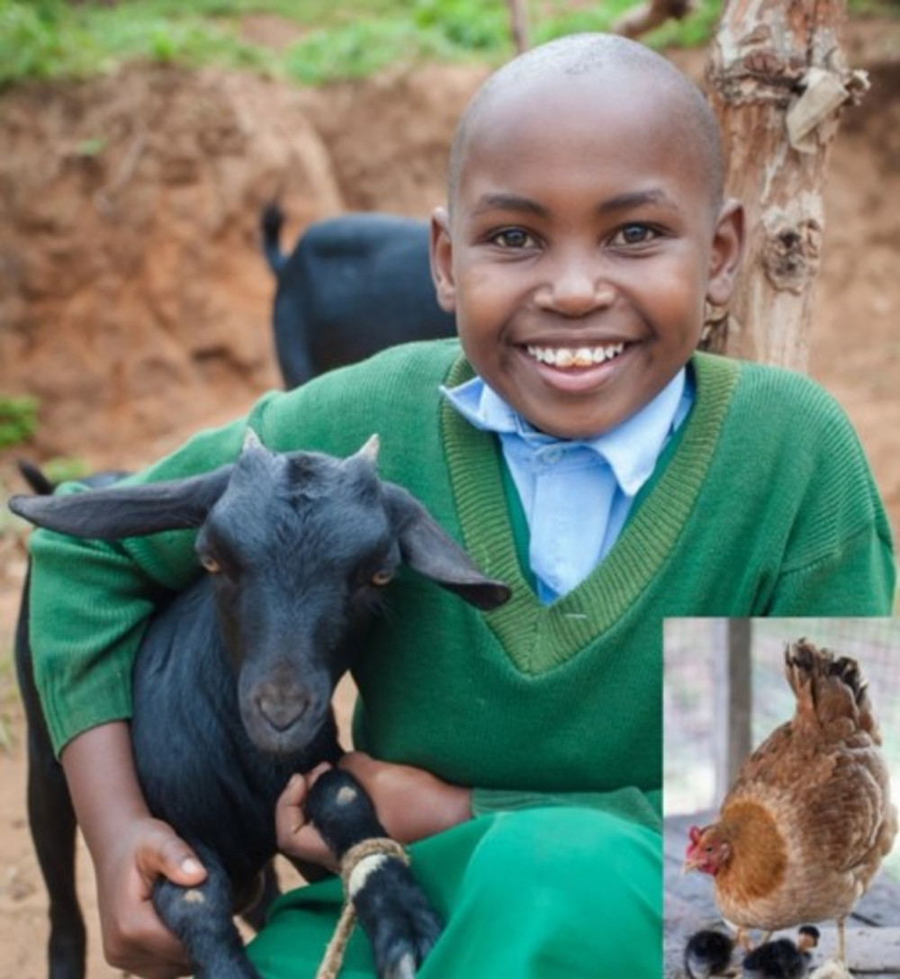 Poultry and Goat Project | Ways to give | Kids Alive International